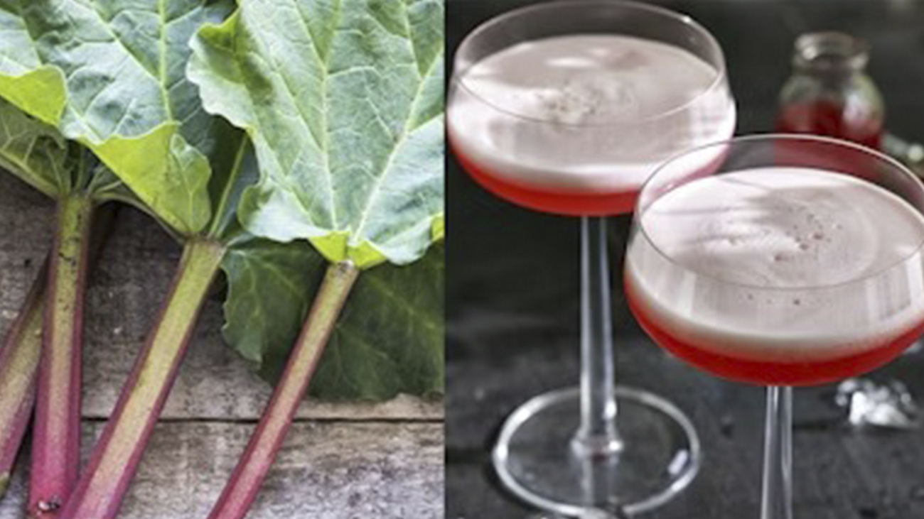 5 friske drinks med rabarber | woman.dk